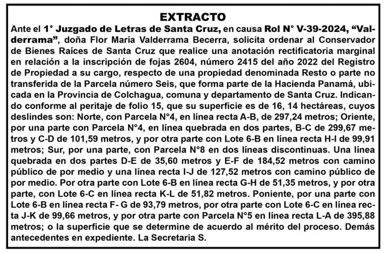 Extracto Rol N° V-39-2024 - Diario El Cóndor